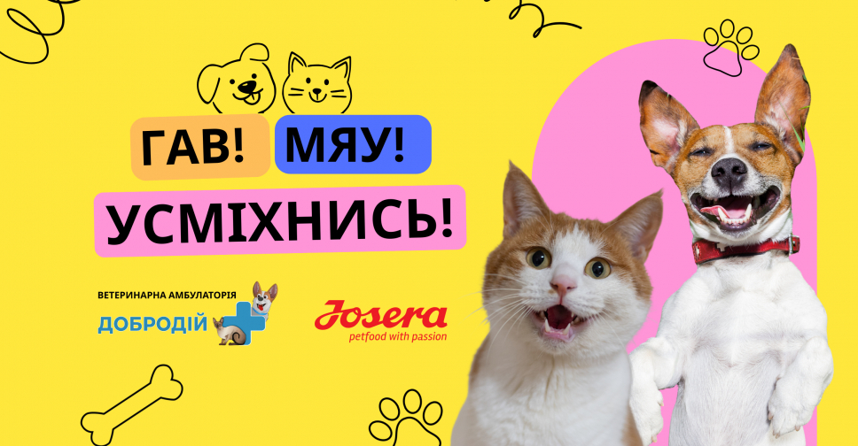 Фотоконкурс "Гав! Мяу! Усміхнись!" завершено. Вітаємо переможців! - Конкурси | Хмельницький - ВСІМ