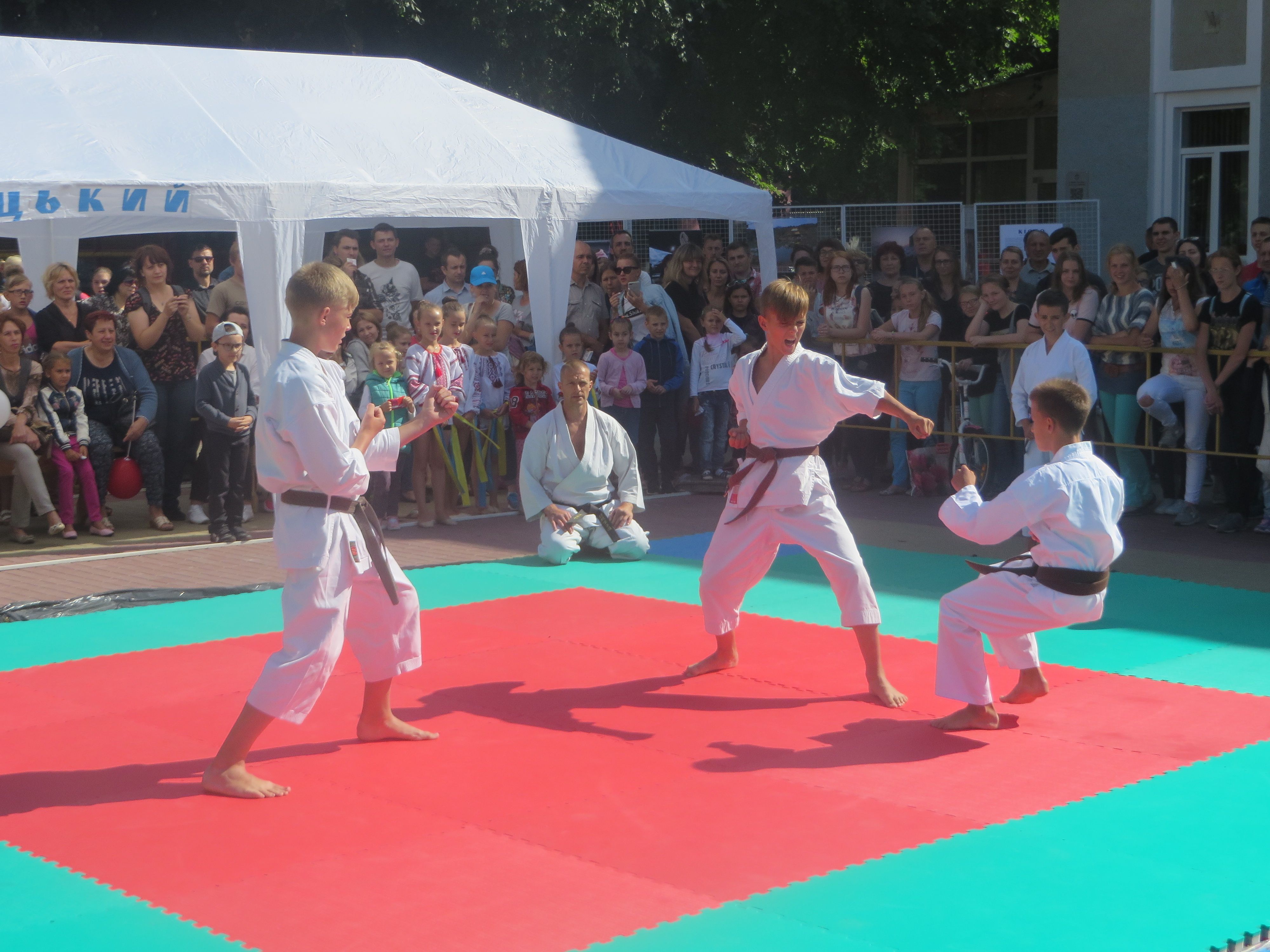 З карате і орігамі: як у Хмельницькому святкували Дні Японії : 29:07: ...