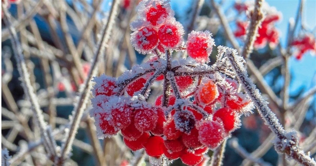 Якою буде погода 24 та 25 вересня - vsim.ua