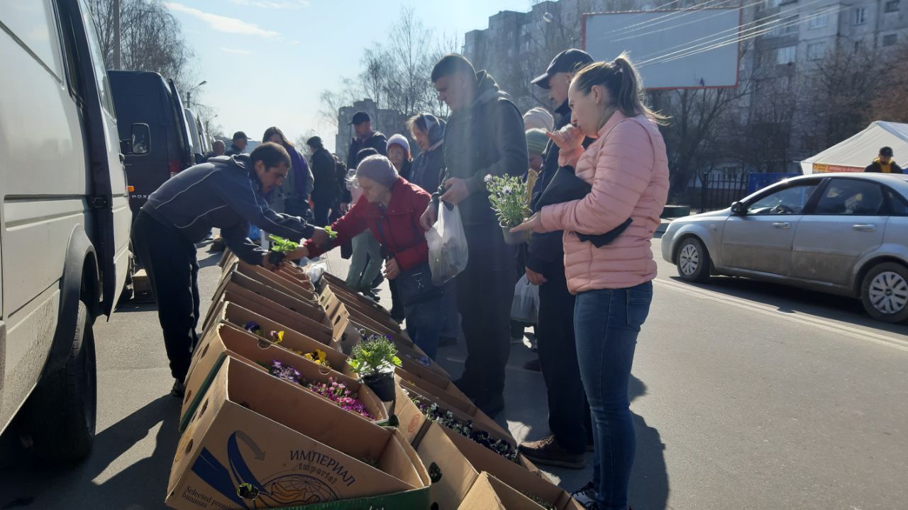 У Хмельницькому триває квітковий ярмарок - vsim.ua