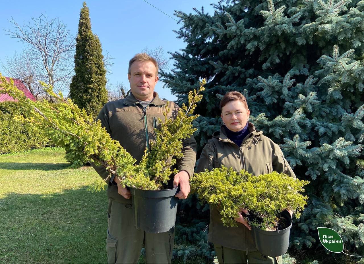Хмельницькі лісівники передали понад 800 саджанців для озеленення Донеччини - vsim.ua