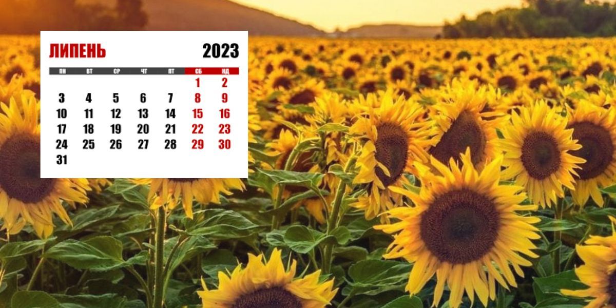 Які свята будуть в липні, коли вихідні - vsim.ua