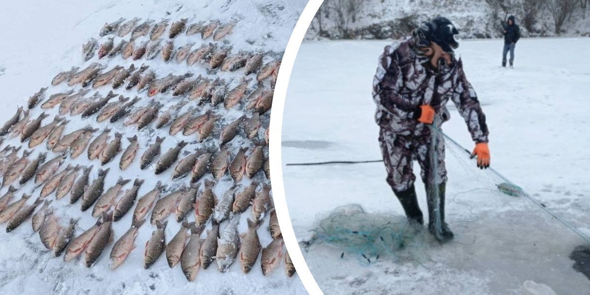 Впіймали трьох рибалок, які наловили риби на 240 тисяч гривень - vsim.ua