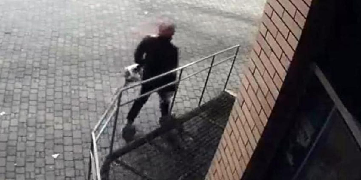 Затримали хмельничанина, який крав квіти біля кубів - vsim.ua