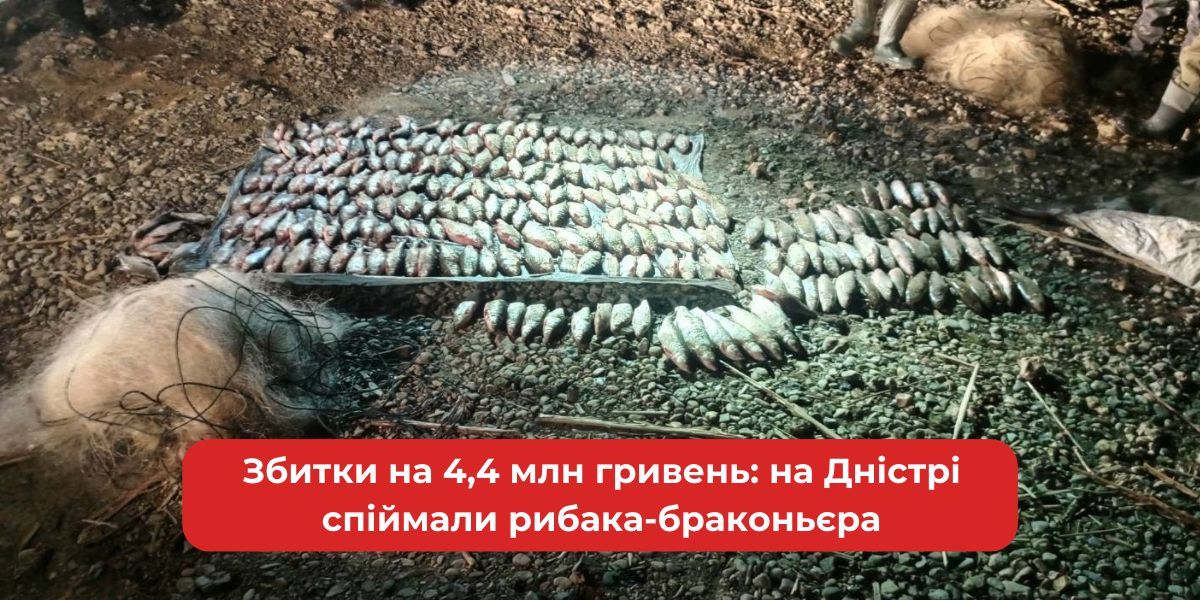 Незаконний вилов риби на Дністрі - vsim.ua