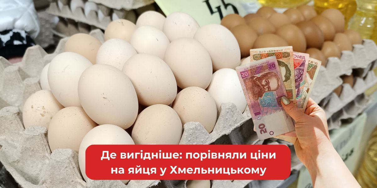 Які ціни на яйця у Хмельницькому - vsim.ua