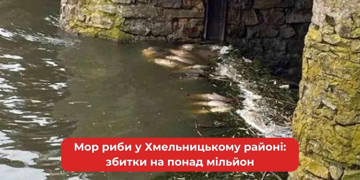 На понад мільйон гривень завдано збитків у річці Мшанець - vsim.ua