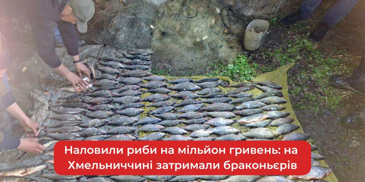 Наловили риби на мільйон гривень: на Хмельниччині біля Дністра ...