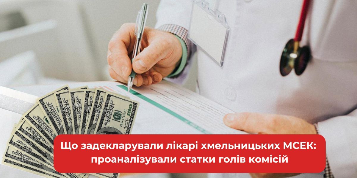 Декларації голів комісій хмельницького МСЕК - vsim.ua