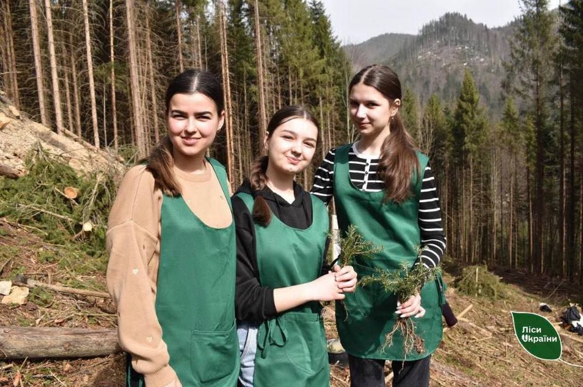 За весну на Хмельниччині висадили майже 2,9 мільйона дерев - vsim.ua