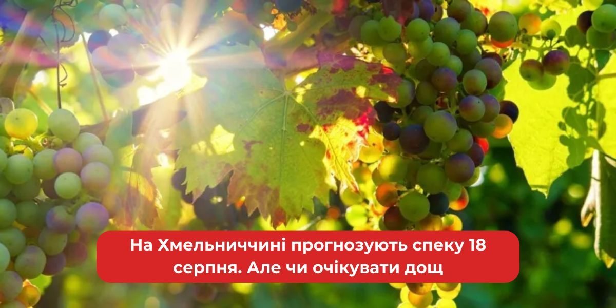 На Хмельниччині прогнозують спеку 18 серпня. Але чи очікувати дощ - vsim.ua