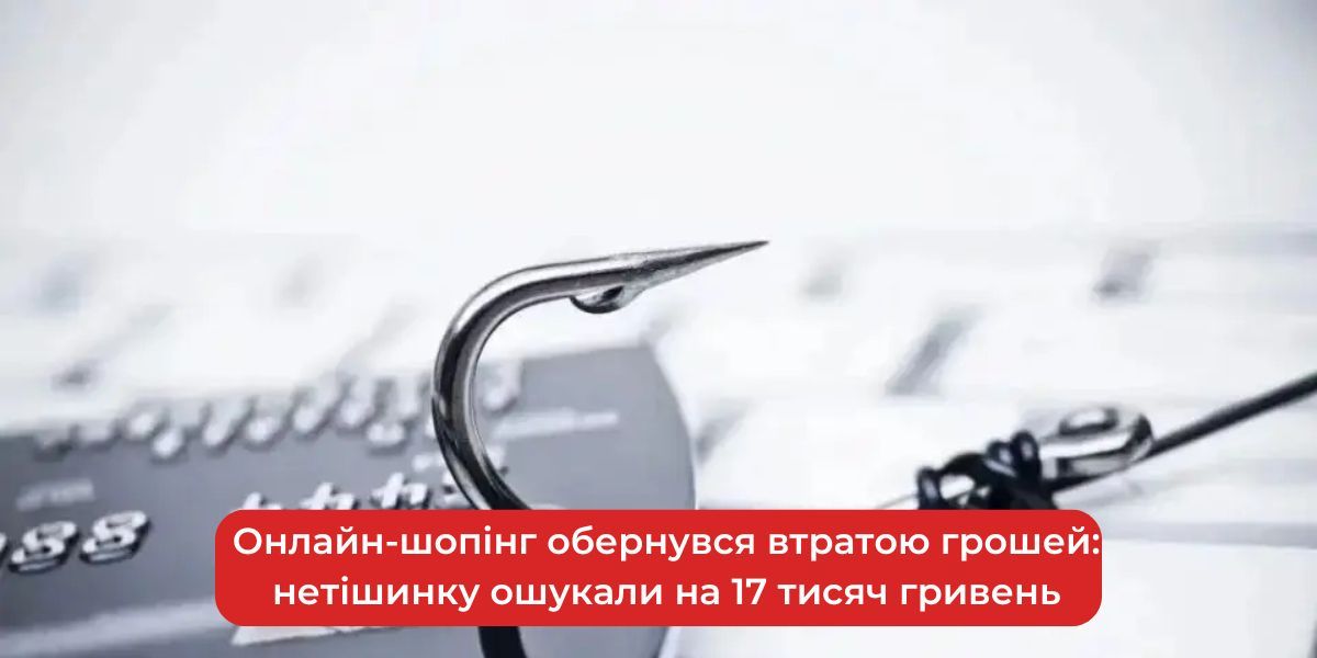 Онлайн-шопінг обернувся втратою грошей: нетішинку ошукали на 17 тисяч гривень - vsim.ua