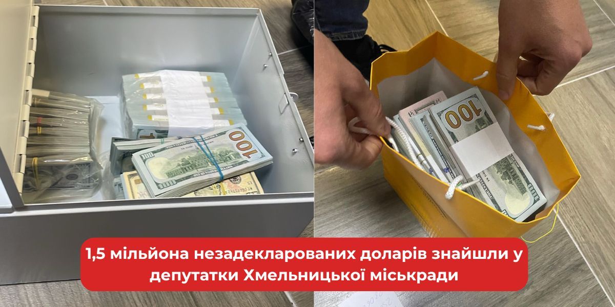 1,5 мільйона незадекларованих доларів знайшли у депутатки Хмельницької міськради - vsim.ua