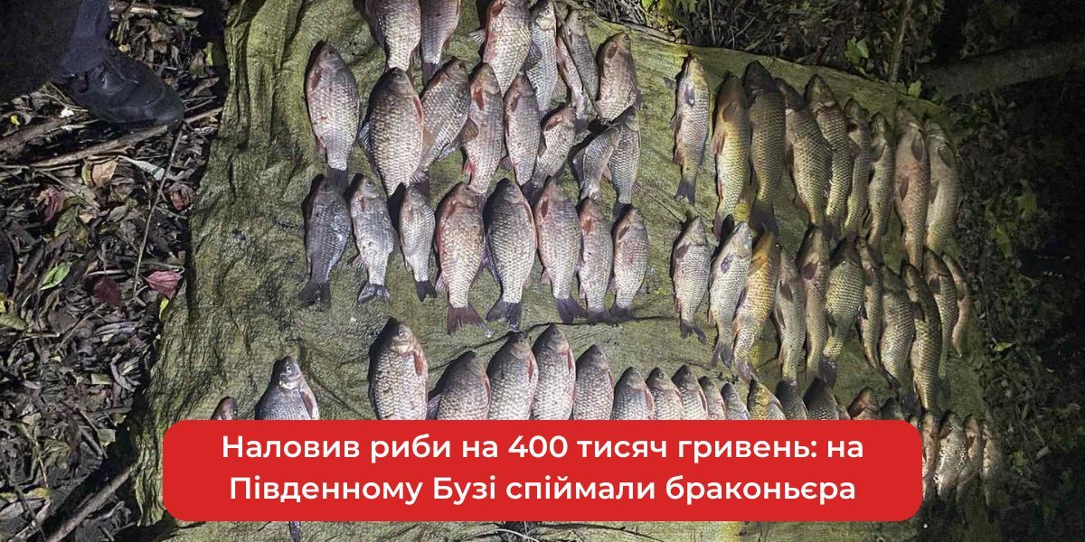 Наловив риби на 400 тисяч гривень: на Південному Бузі спіймали ...