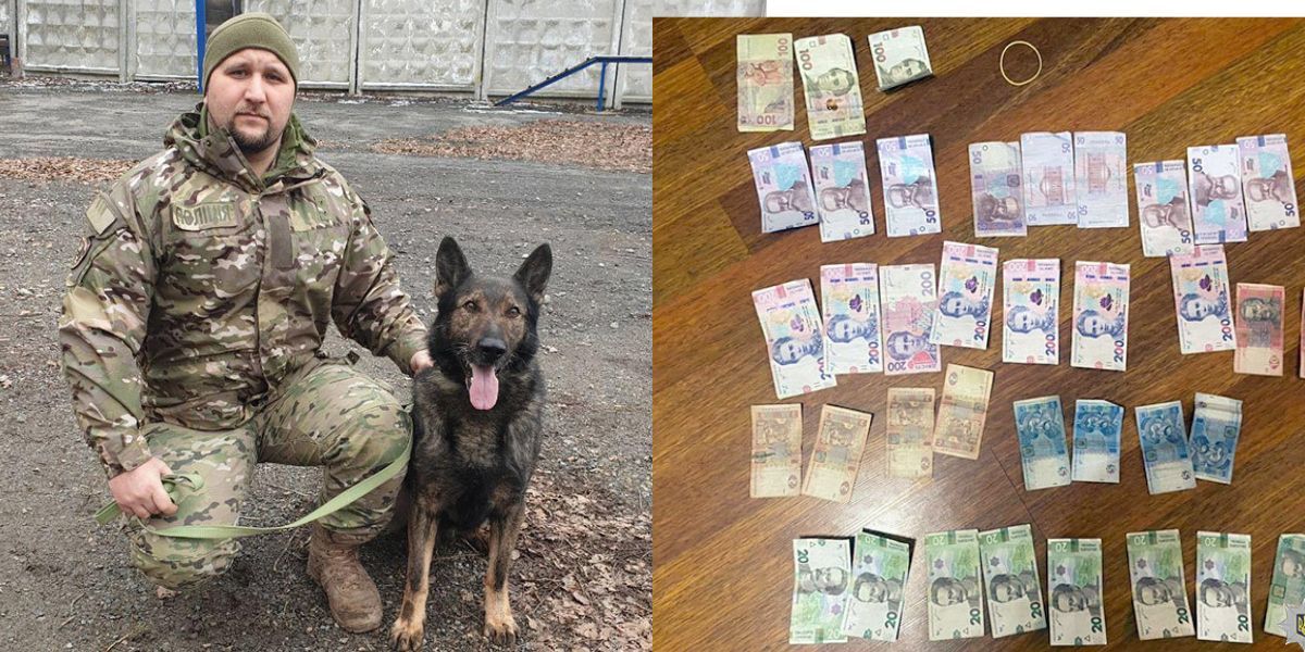 Собака допоміг знайти підлітка, який пограбував магазин на Хмельниччині - vsim.ua