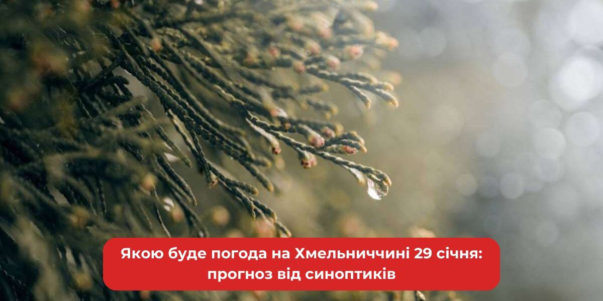 Якою буде погода на Хмельниччині 29 січня: прогноз від синоптиків - vsim.ua