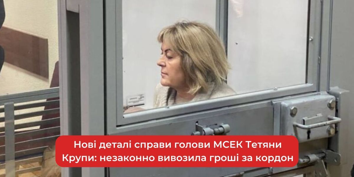 Нові деталі справи голови МСЕК Тетяни Крупи: незаконно вивозила гроші за кордон - vsim.ua