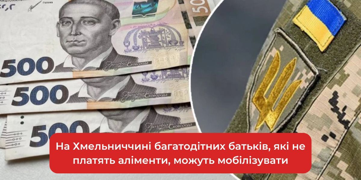 Багатодітних батьків, які не платять аліменти, можуть мобілізувати - vsim.ua