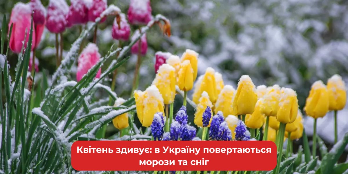Квітень здивує: в Україну повертаються морози та сніг - vsim.ua