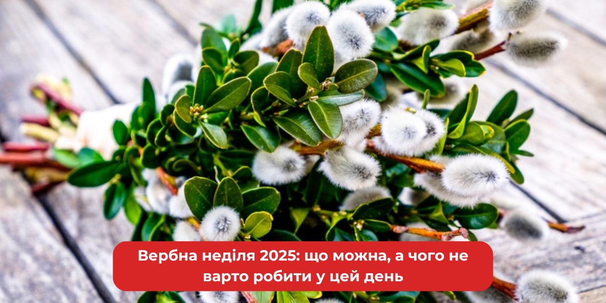 Вербна неділя 2025: що можна, а чого не варто робити у цей день - vsim.ua