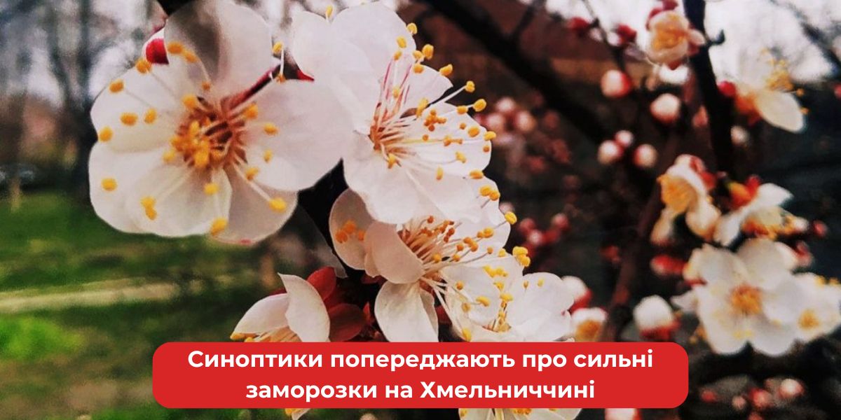 Синоптики попереджають про сильні заморозки на Хмельниччині - vsim.ua