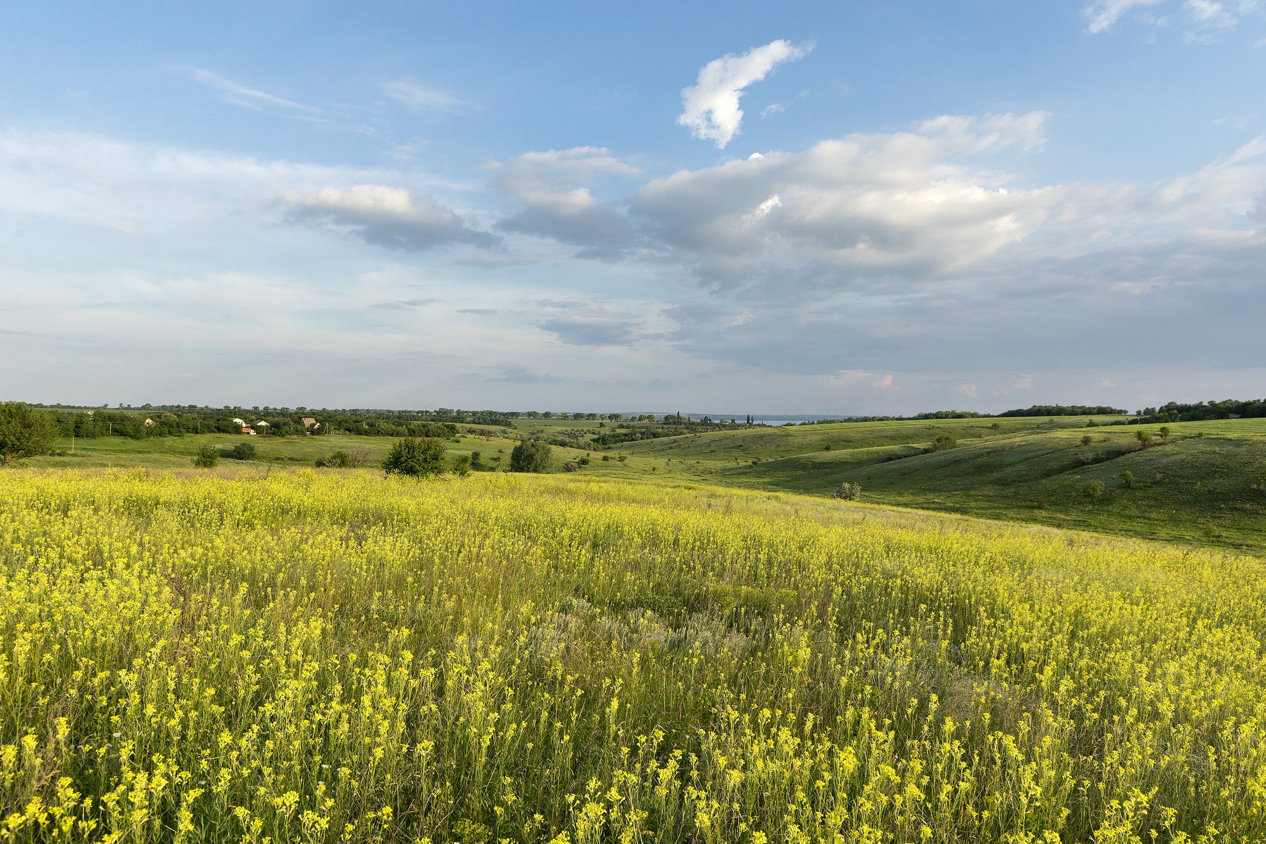 Чи буде дощ? Прогноз на 14 червня для Хмельниччини - vsim.ua