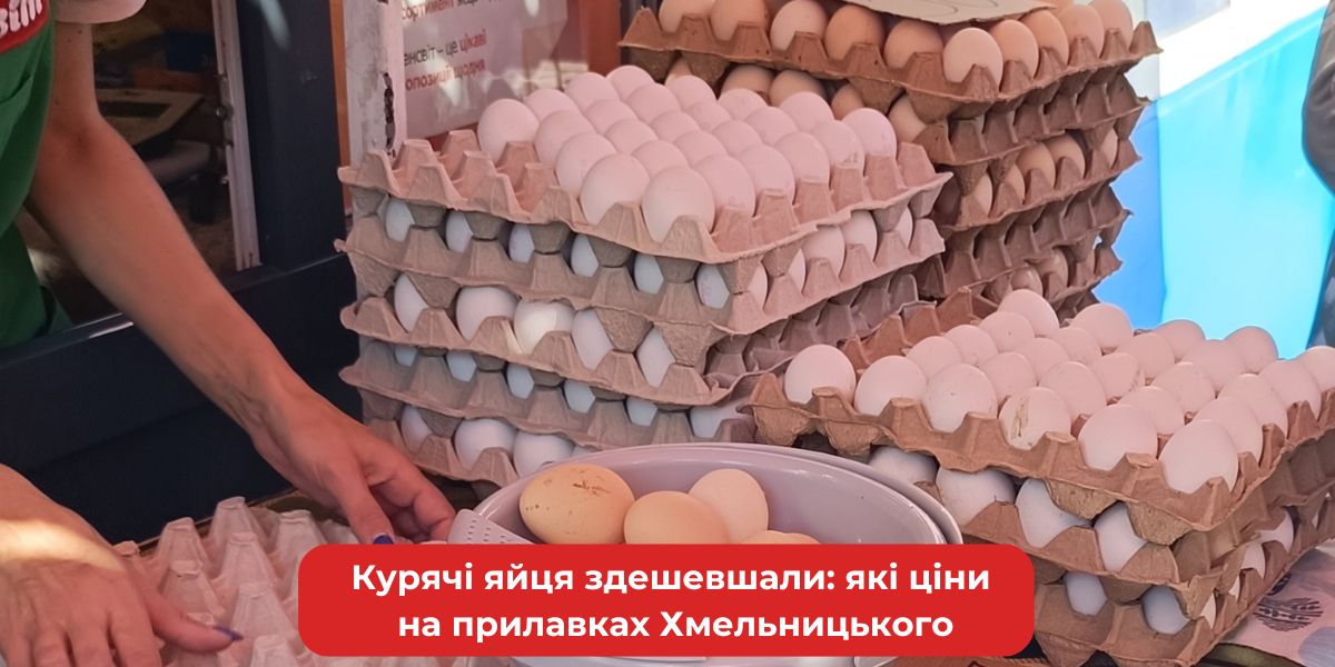 Курячі яйця здешевшали: які ціни на прилавках Хмельницького - vsim.ua