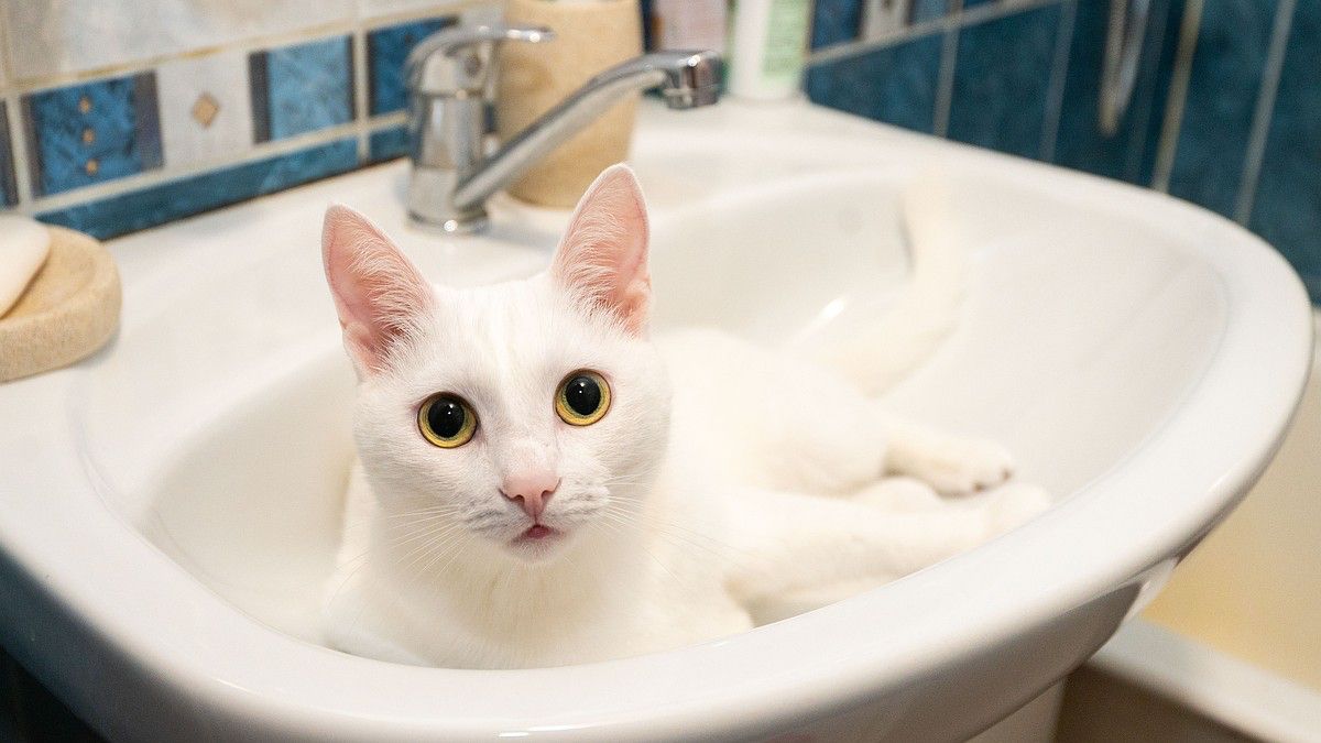 Де у Хмельницькому не буде води сьогодні: адреси - vsim.ua