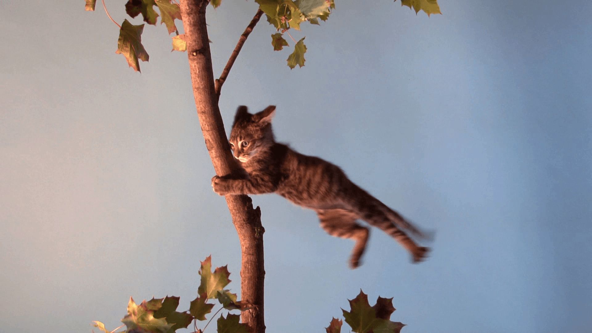 Тепло, але є нюанс: якої погоди чекати на Хмельниччині 14 вересня - vsim.ua